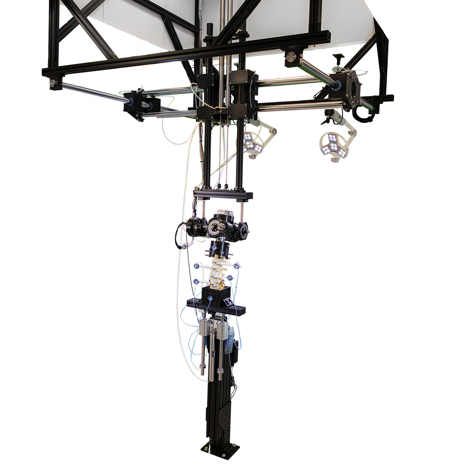 Biomechanical Testing – Orthopedic Research Laboratory