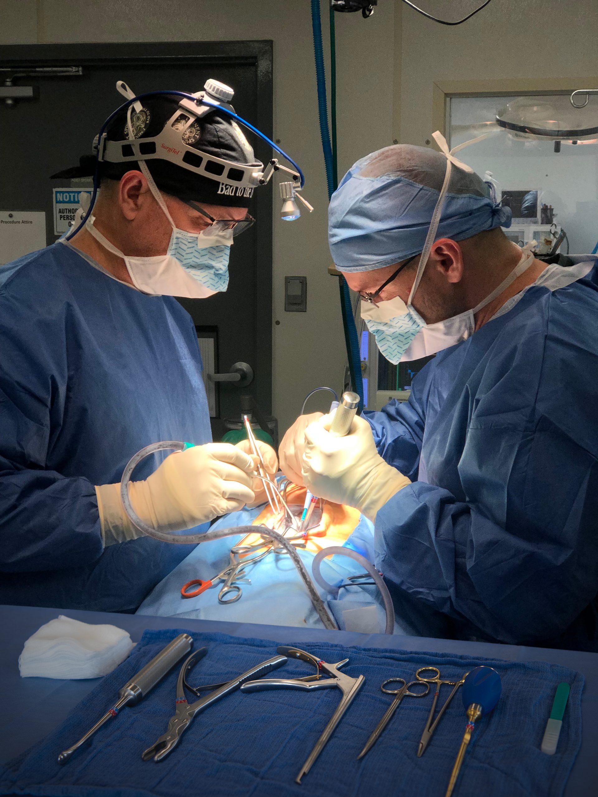 Biological Modeling – Orthopedic Research Laboratory